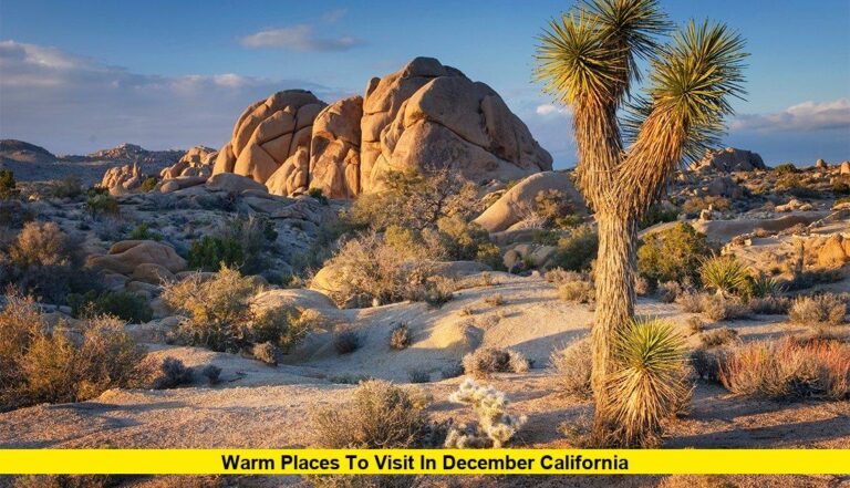 Warm Places to Visit in December California: Top 2025 Travel Picks